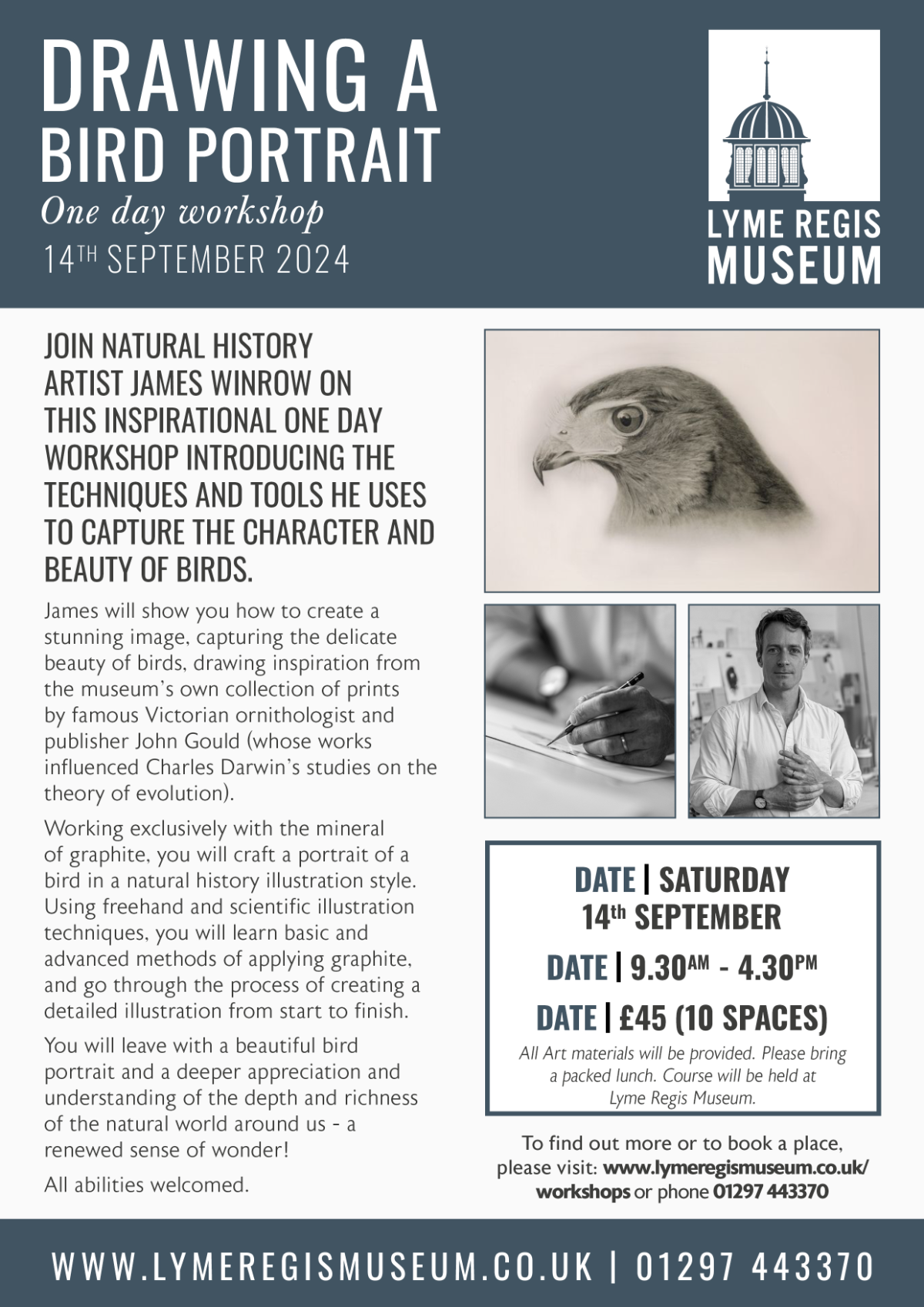 Drawing a bird portrait workshop at Lyme Regis Museum | Lyme Regis Town ...