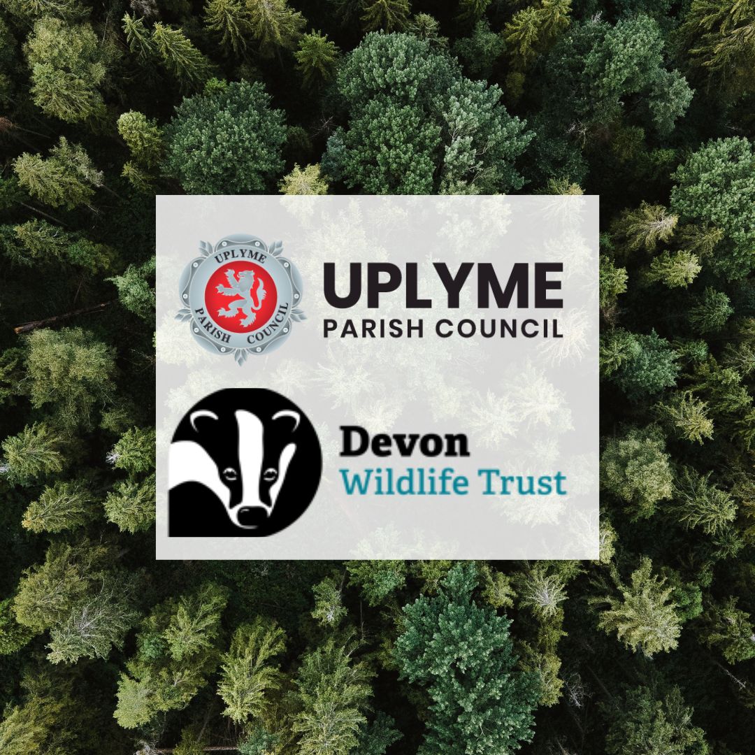 Free Tree Hub in Uplyme | Lyme Regis Town Council